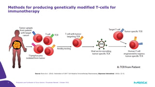 Production and purification of Viral vectors for gene and cell therapy ...