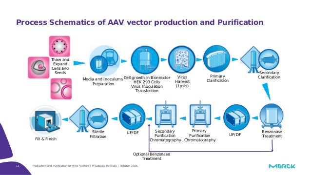 Production and purification of Viral vectors for gene and cell thera…