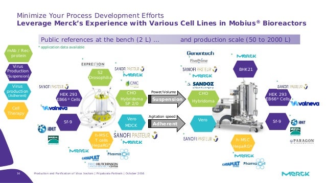 Production and purification of Viral vectors for gene and cell thera…