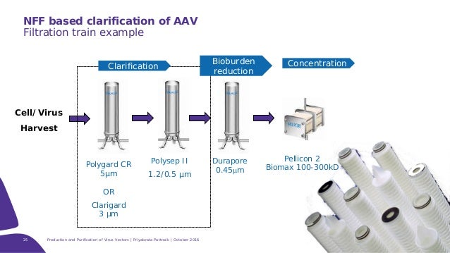 Production and purification of Viral vectors for gene and cell thera…