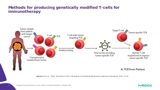 Production and purification of Viral vectors for gene and cell thera…