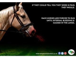 Campaign for Races Horses' Rights | PPTX