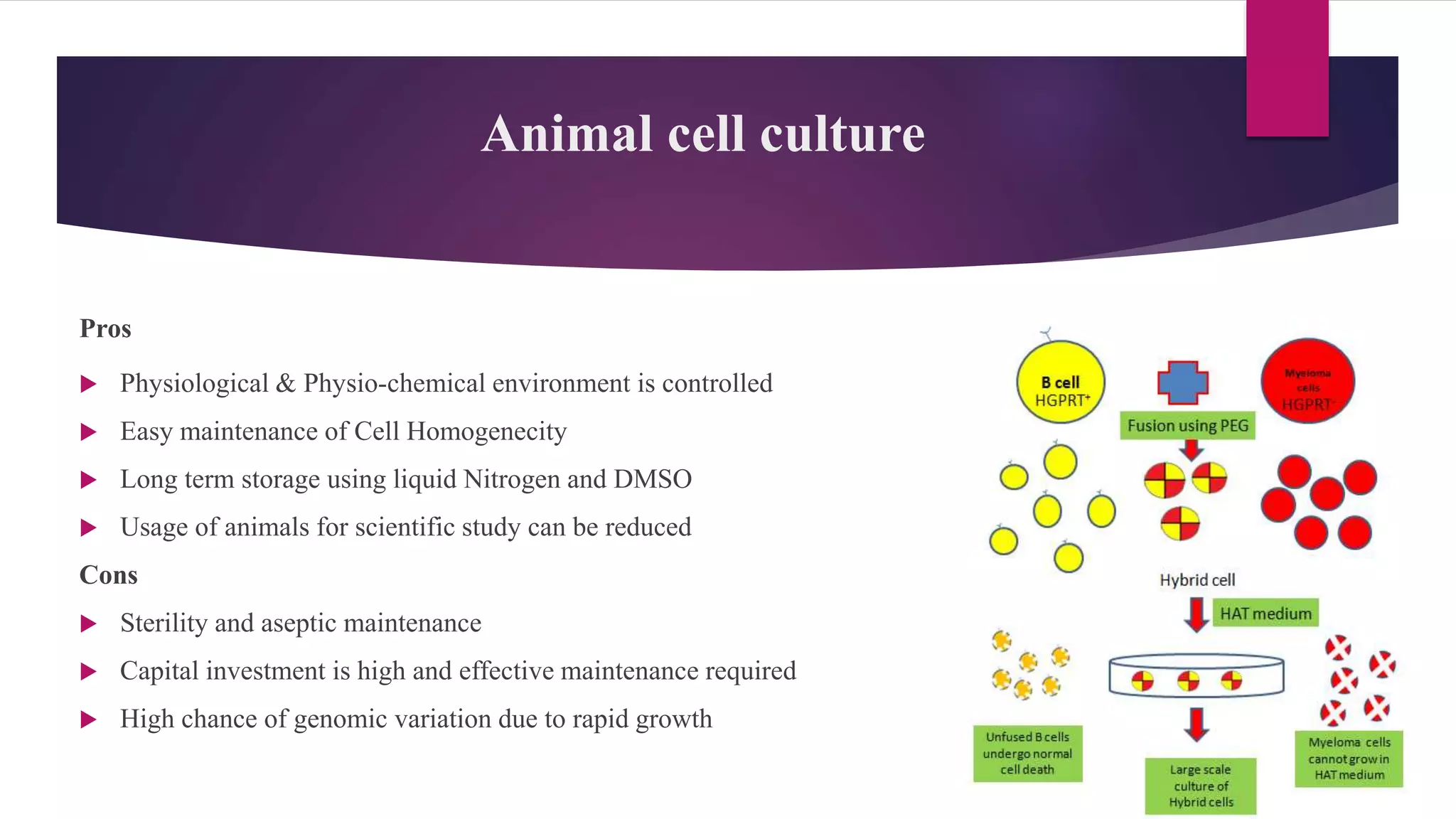 Production system of biologics | PPTX