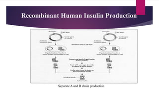 Production system of biologics | PPTX