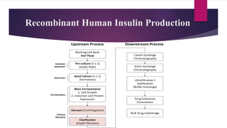 Production system of biologics | PPTX