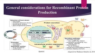 Production system of biologics | PPTX