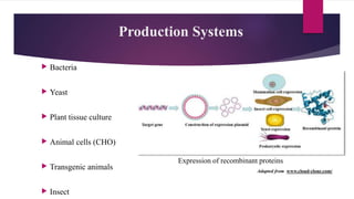 Production system of biologics | PPTX