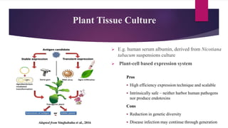 Production system of biologics | PPTX