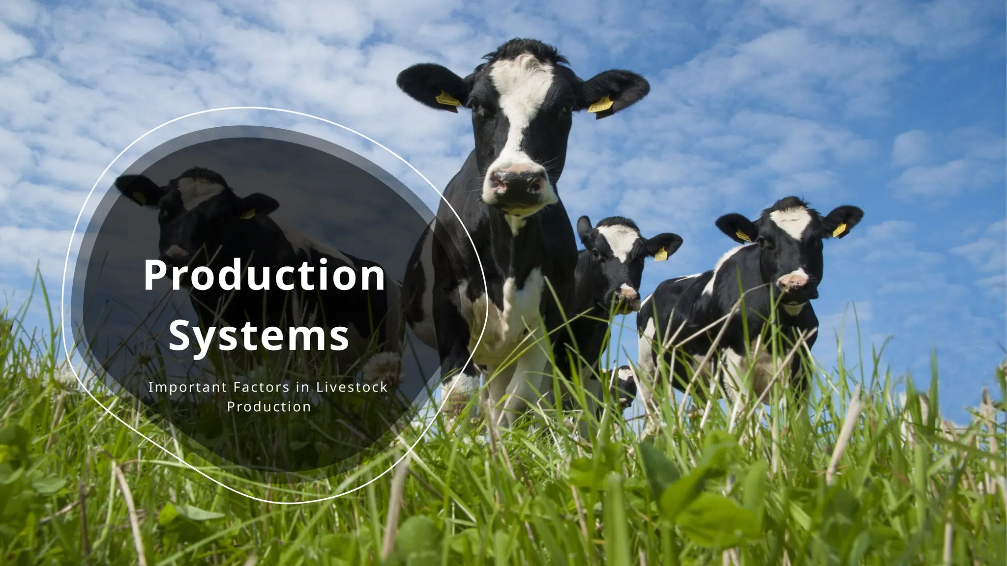 Production Systems in Livestock and Poultry.pptx