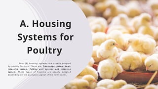 Production Systems in Livestock and Poultry.pptx