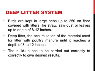 Production Systems for broiler and laying hen (1).pptx