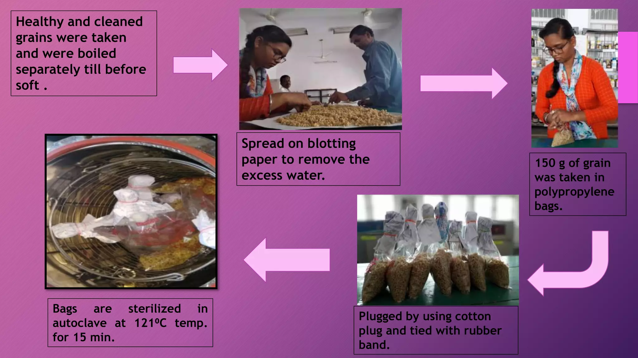 Production technology for bioagents and biofertilizers 2 | PPTX