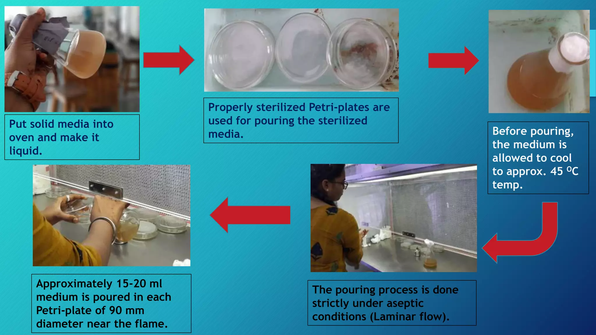 Production technology for bioagents and biofertilizers 2 | PPTX
