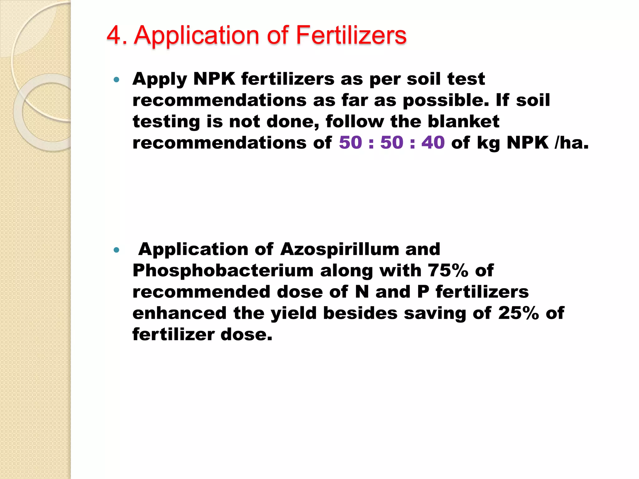 Production technology for cumbu napier | PPTX