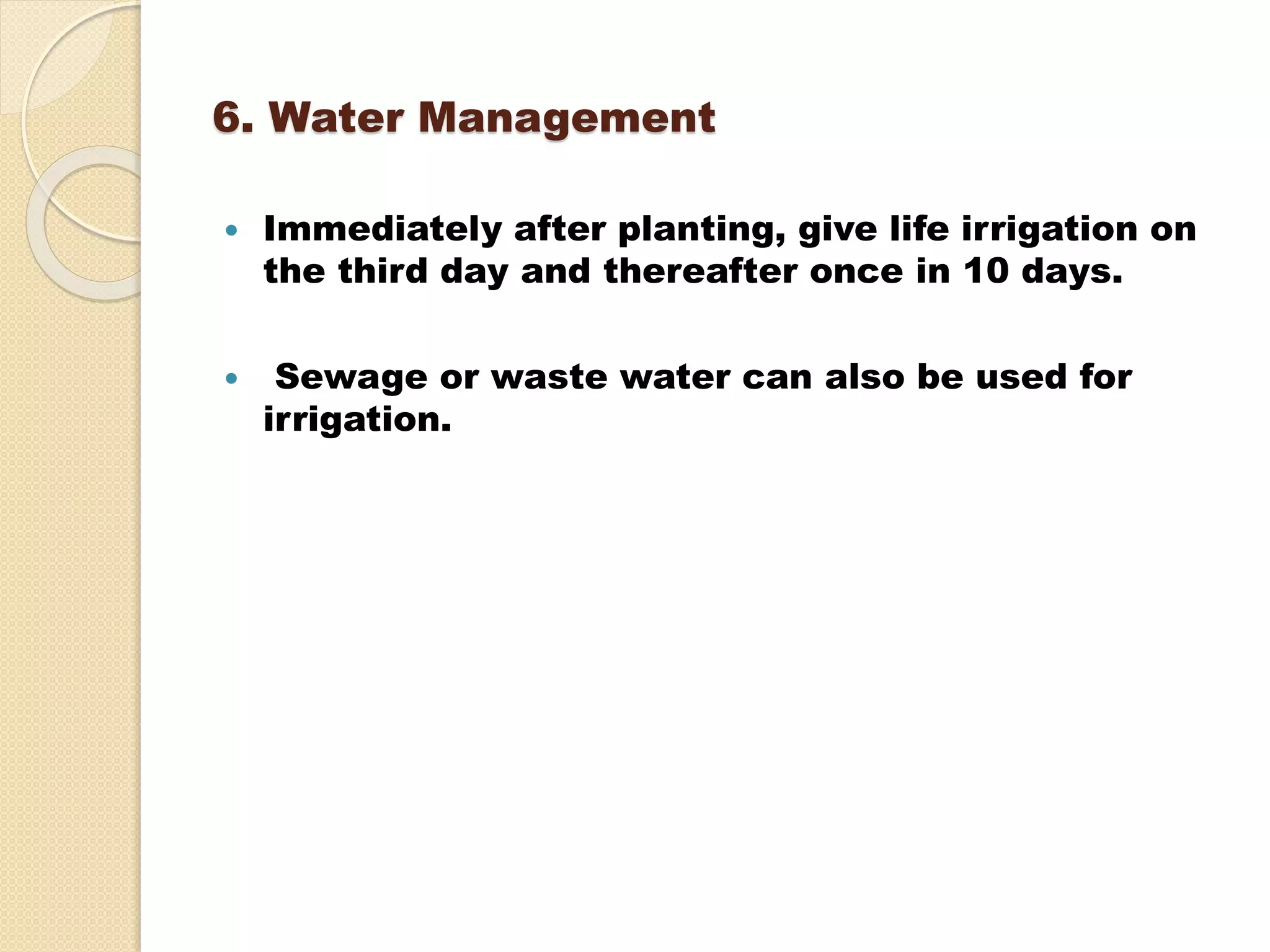 Production technology for cumbu napier | PPTX