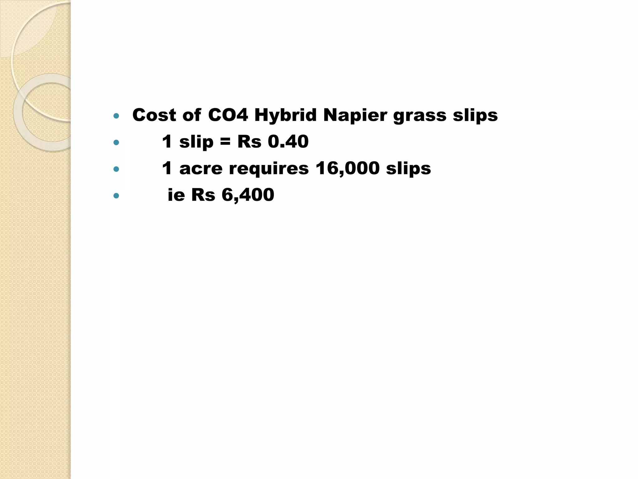 Production technology for cumbu napier | PPTX