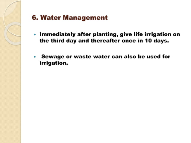 Production technology for cumbu napier | PPTX