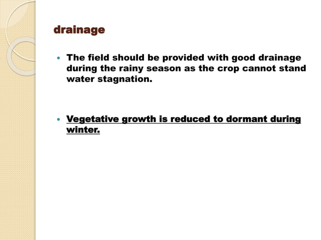 Production technology for cumbu napier | PPTX