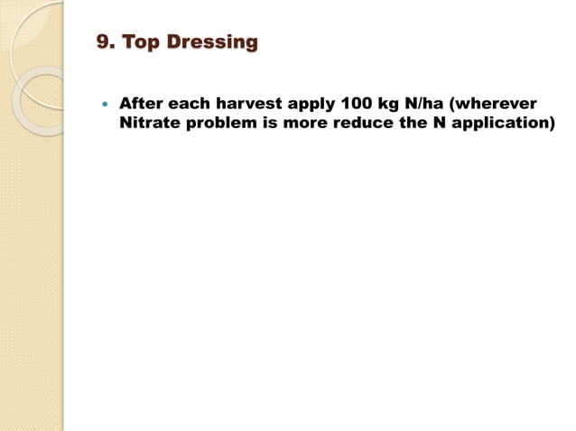 Production technology for cumbu napier | PPTX