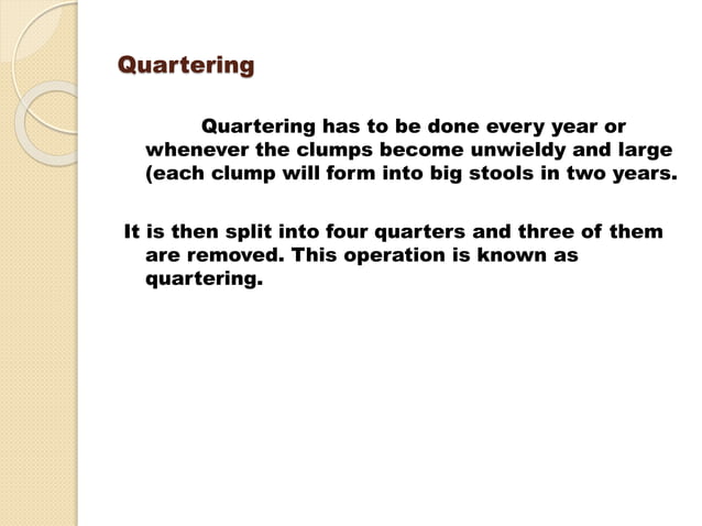 Production technology for cumbu napier | PPTX