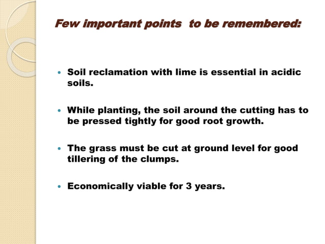 Production technology for cumbu napier | PPTX