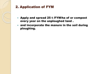 Production technology for cumbu napier | PPTX