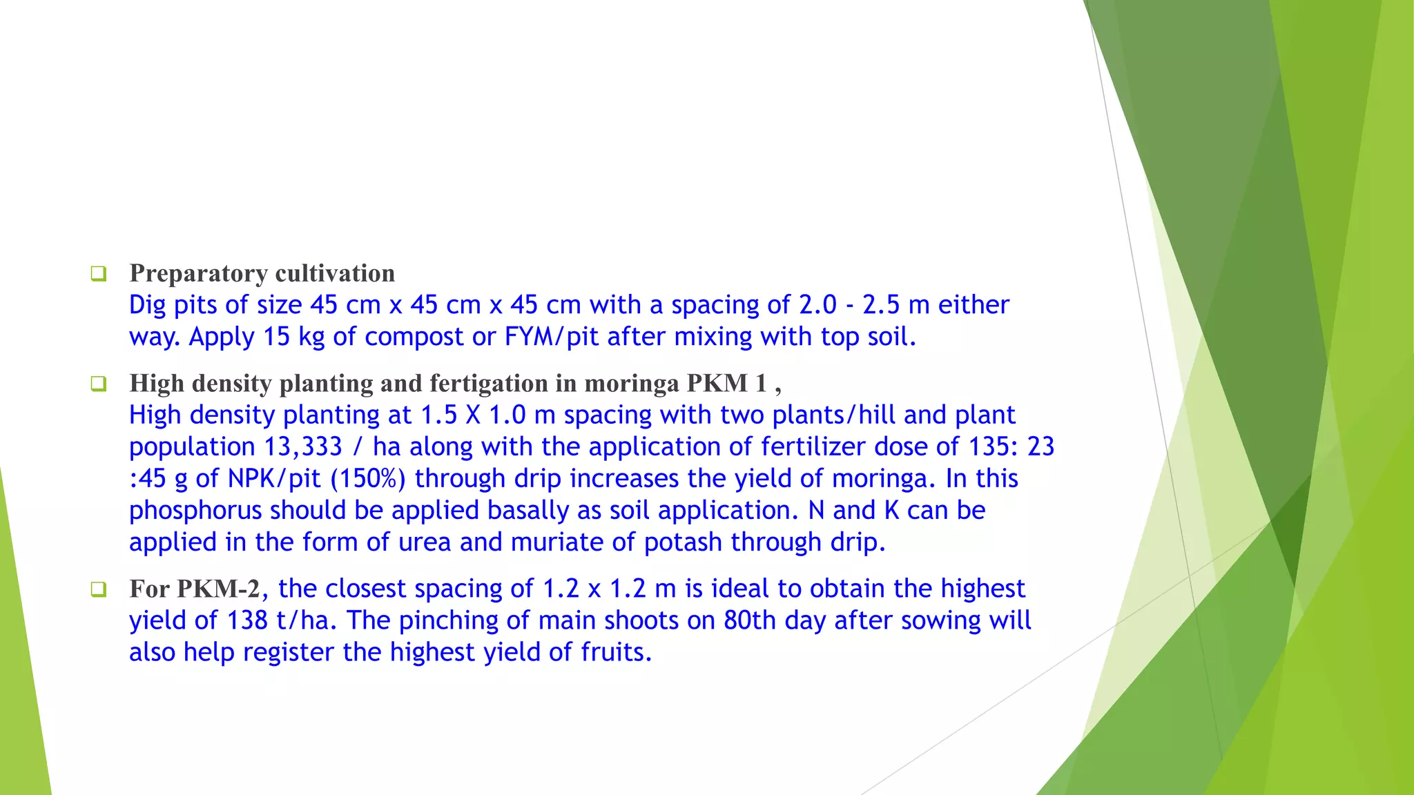 Production technology for vegetable and spices : DRUMSTICK ' MORINGA | PPTX