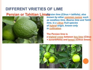 Production technology of acid lime | PPTX