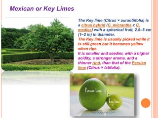 Production technology of acid lime | PPTX