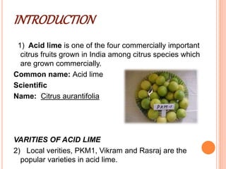 Production technology of acid lime | PPTX