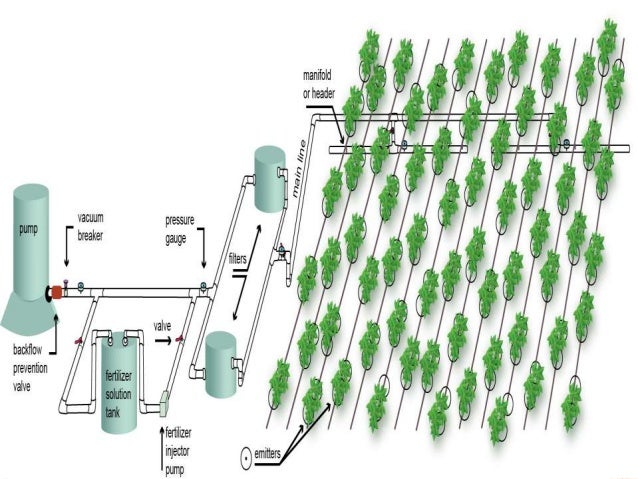 Production technology of acid lime