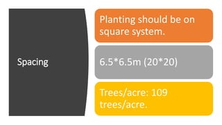 Production technology of almond | PPTX