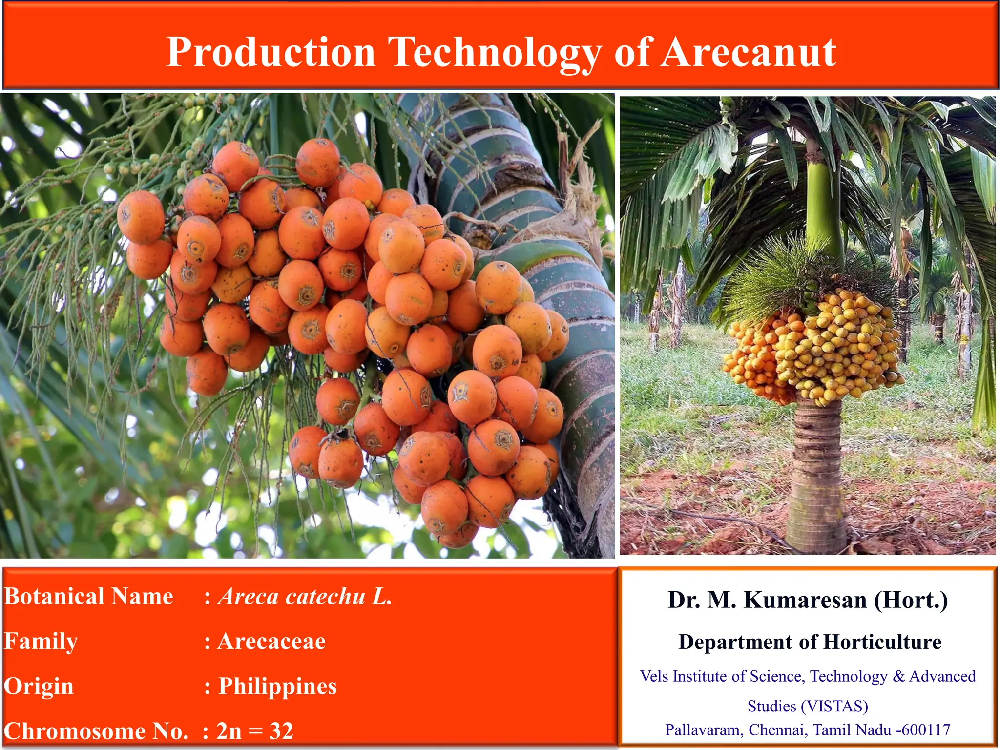 Production Technology of Arecanut (Areca catechu L.) .pdf