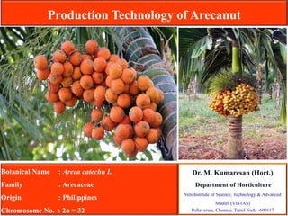 Production Technology of Arecanut (Areca catechu L.) .pdf