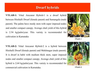 Production Technology of Arecanut (Areca catechu L.) .pdf