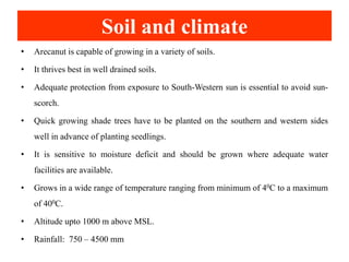 Production Technology of Arecanut (Areca catechu L.) .pdf