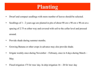 Production Technology of Arecanut (Areca catechu L.) .pdf
