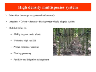 Production Technology of Arecanut (Areca catechu L.) .pdf