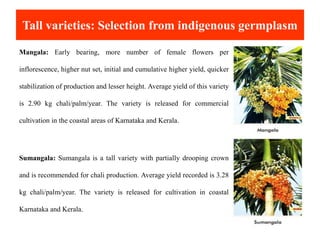 Production Technology of Arecanut (Areca catechu L.) .pdf