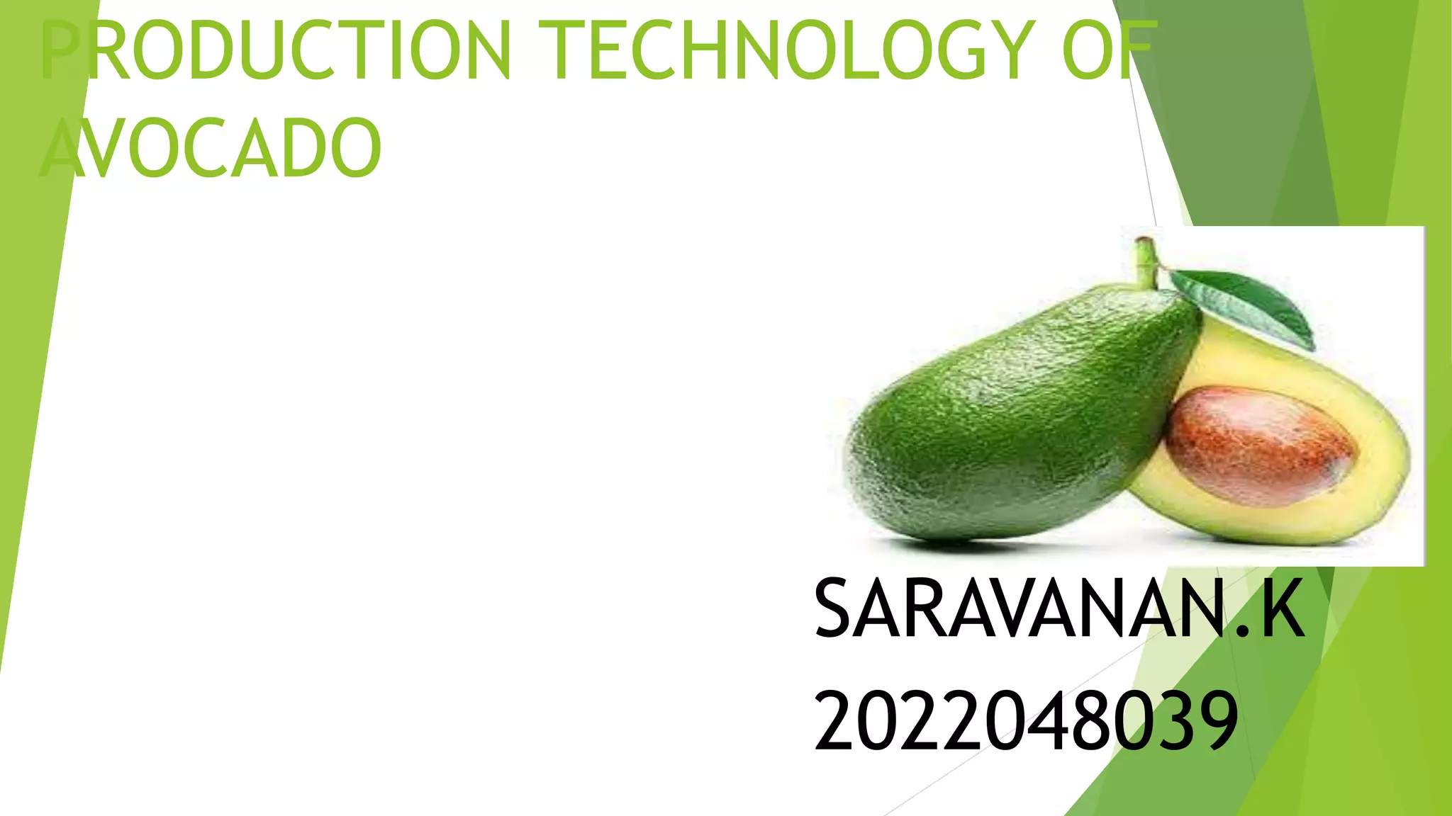 PRODUCTION TECHNOLOGY OF AVOCADO.pptx