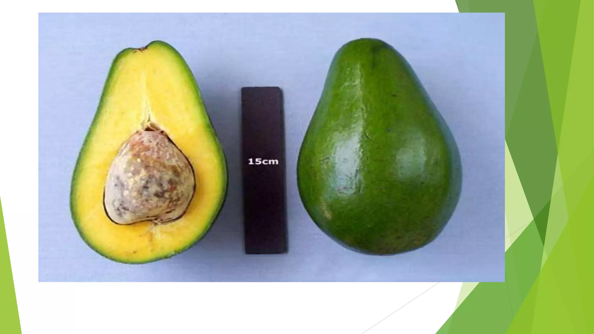 PRODUCTION TECHNOLOGY OF AVOCADO.pptx
