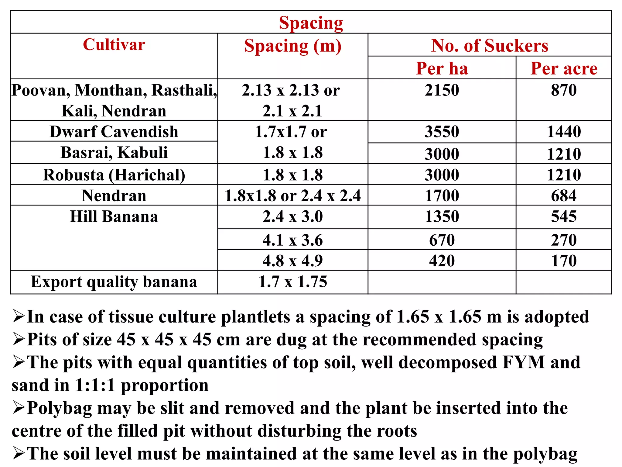 Production technology of Banana.pptx