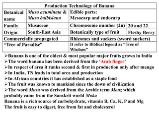 Production technology of Banana.pptx