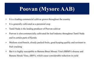 Advances in production technology of Banana.pdf