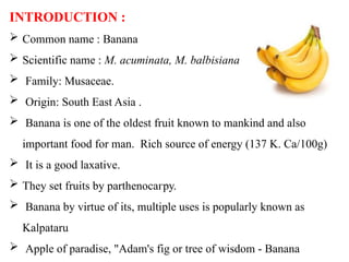 production technology of banana- From sowing to harvest. | PPTX