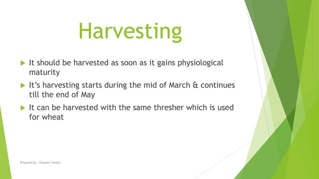 Production technology of barley | PPTX