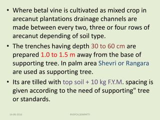 Production technology of betelvine | PPSX