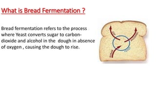 Production technology of bread | PPTX