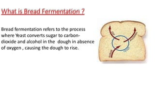 productiontechnologyofbread-210724091518 (2).pptx