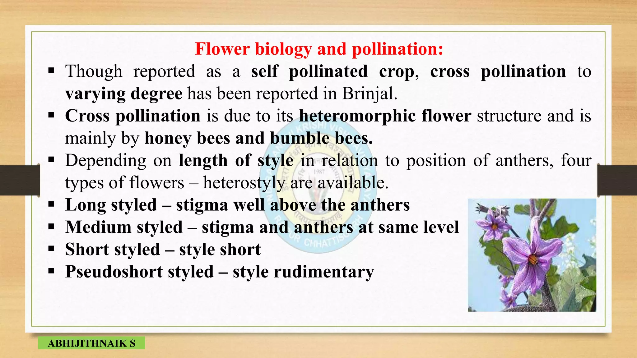 Production Technology of Brinjal.pptx